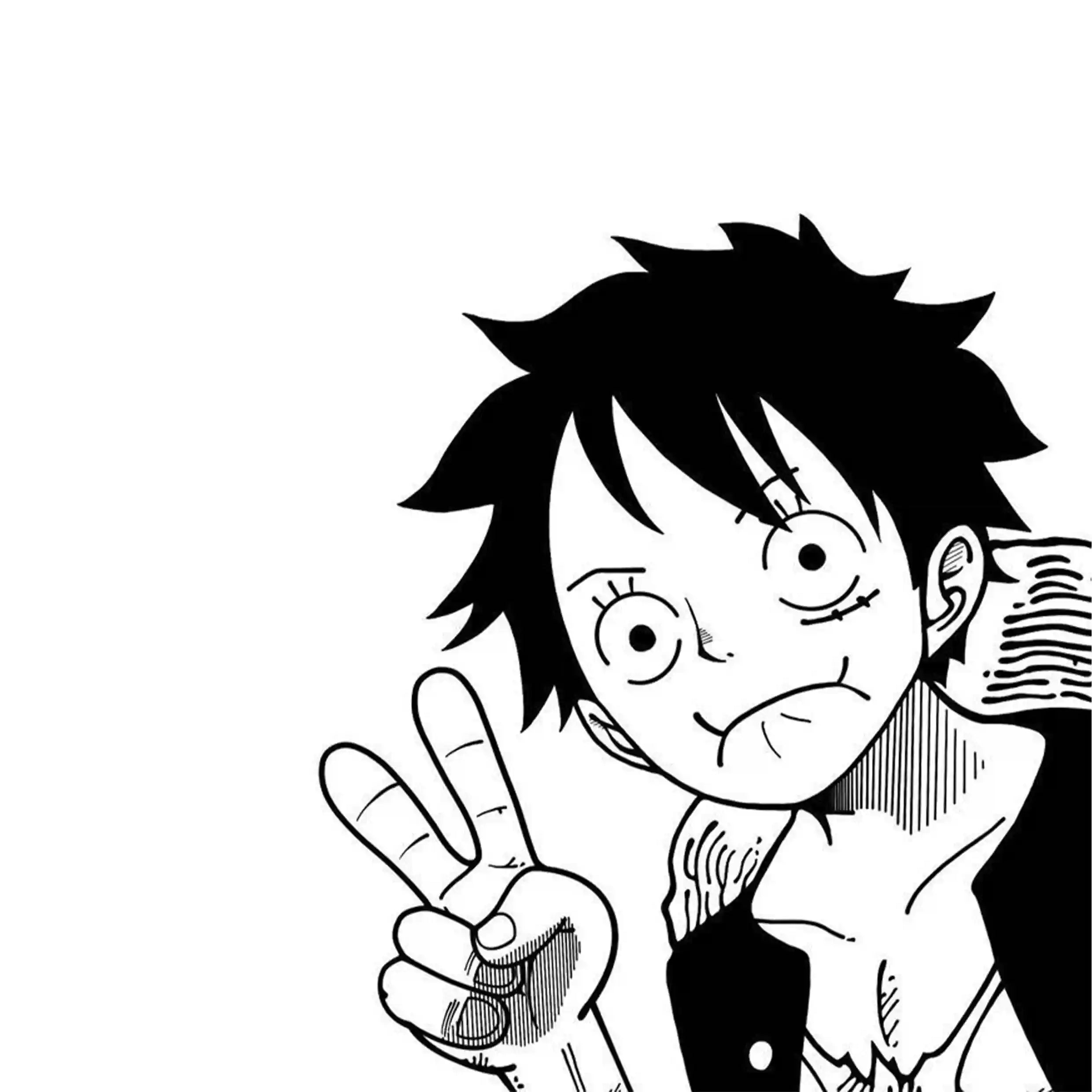 One piece Transformation Lightbox – Light Up